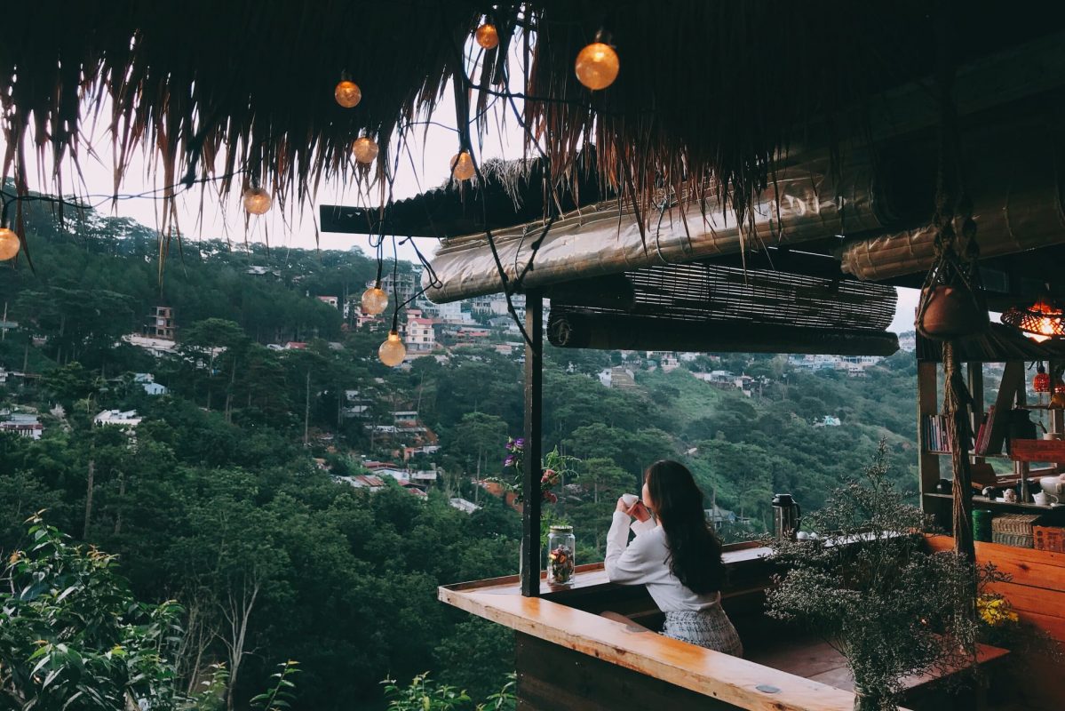 TỔ CHIM RI - Cú Trên Cây