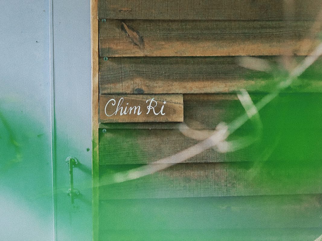 TỔ CHIM RI - Cú Trên Cây