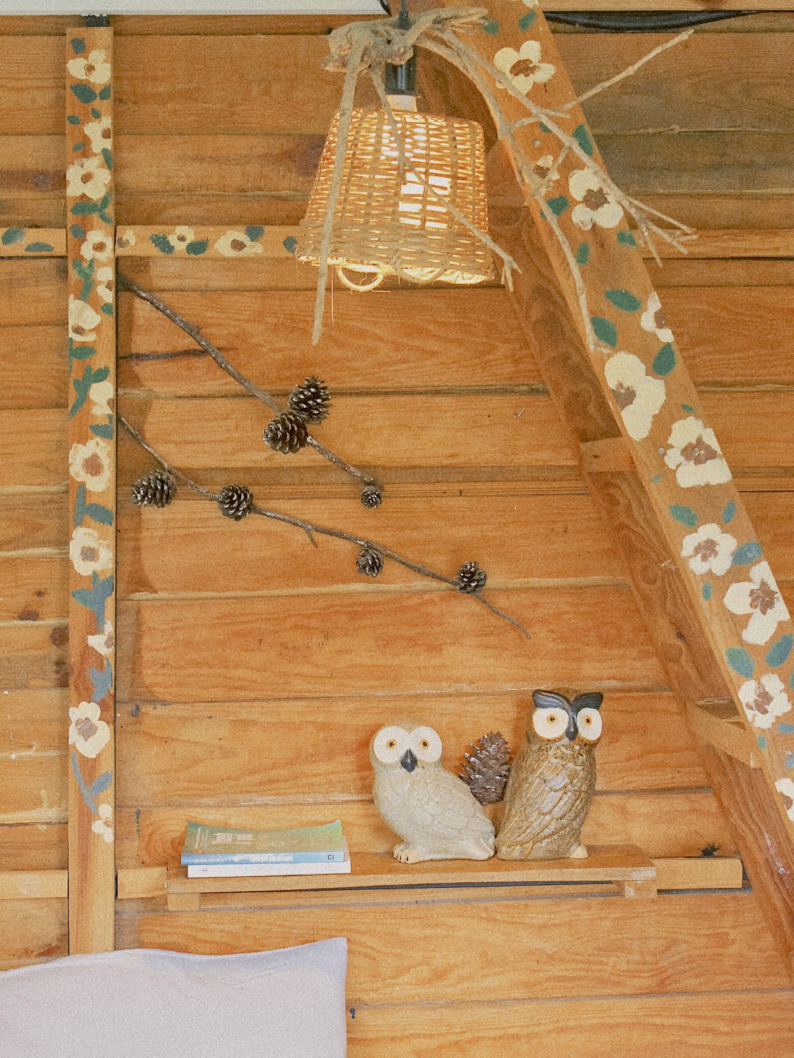 TỔ CHIM SẺ - Cú Trên Cây